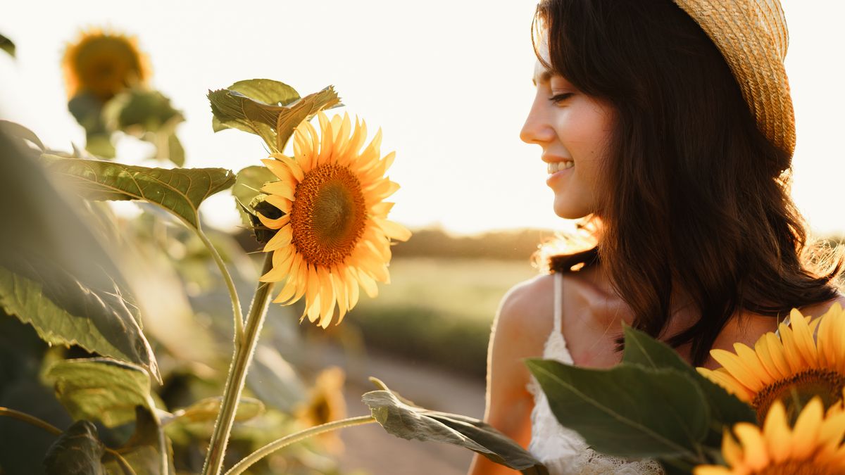 Jak správně pečovat o slunečnice