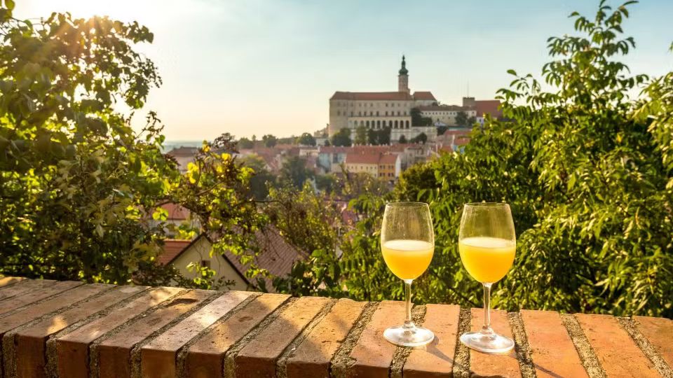 Burčák: Kolik alkoholu obsahuje a kdy začíná sklizeň